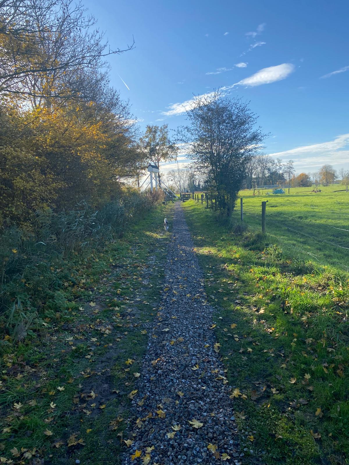 Herstel van het Ede Staal-wandelpad